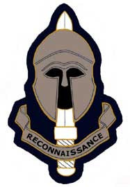 Special Reconnaissance Regiment